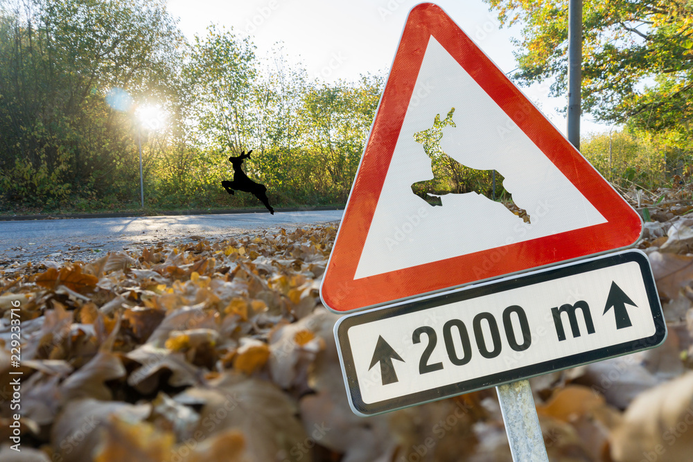 Achtung: Straßenschild Wildwechsel im Herbst mit spingendem Rehbock ...