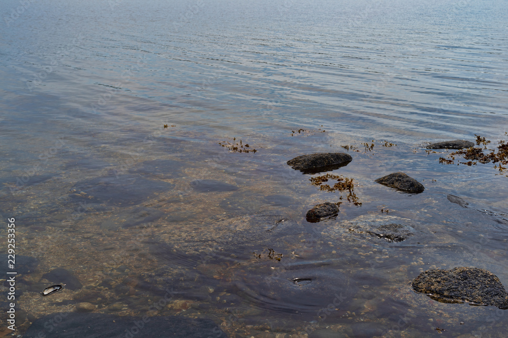 Shallow coastal water with floating seaweed, rocks and rippling waves ...