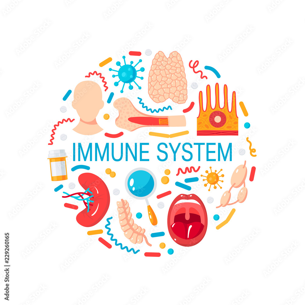 Immune system vector concept Stock Vector | Adobe Stock
