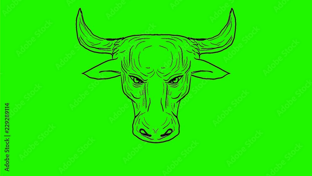 Vídeo do Stock: 2d Animation motion graphics showing a drawing of head ...