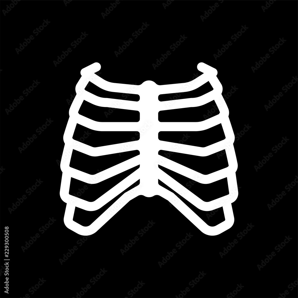Rib cage. Skeleton anatomy human. Skeletal system cross section. vector ...