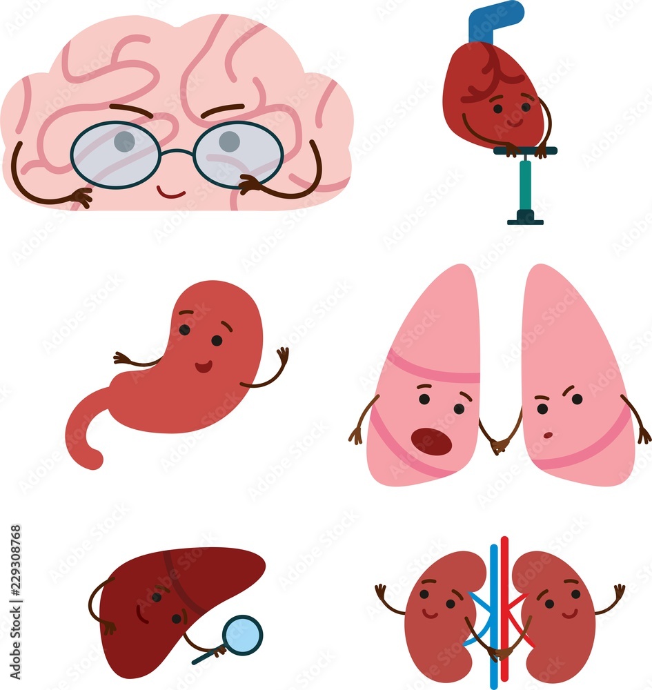 Cute smiling happy human healthy strong organs set. Vector cartoon ...