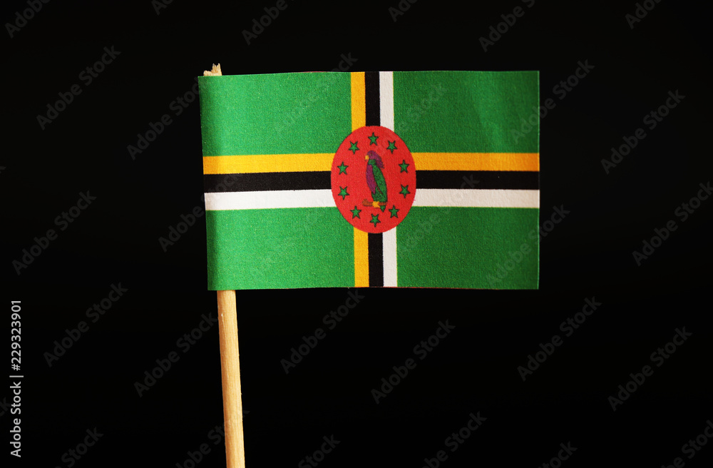 Purple National Flag