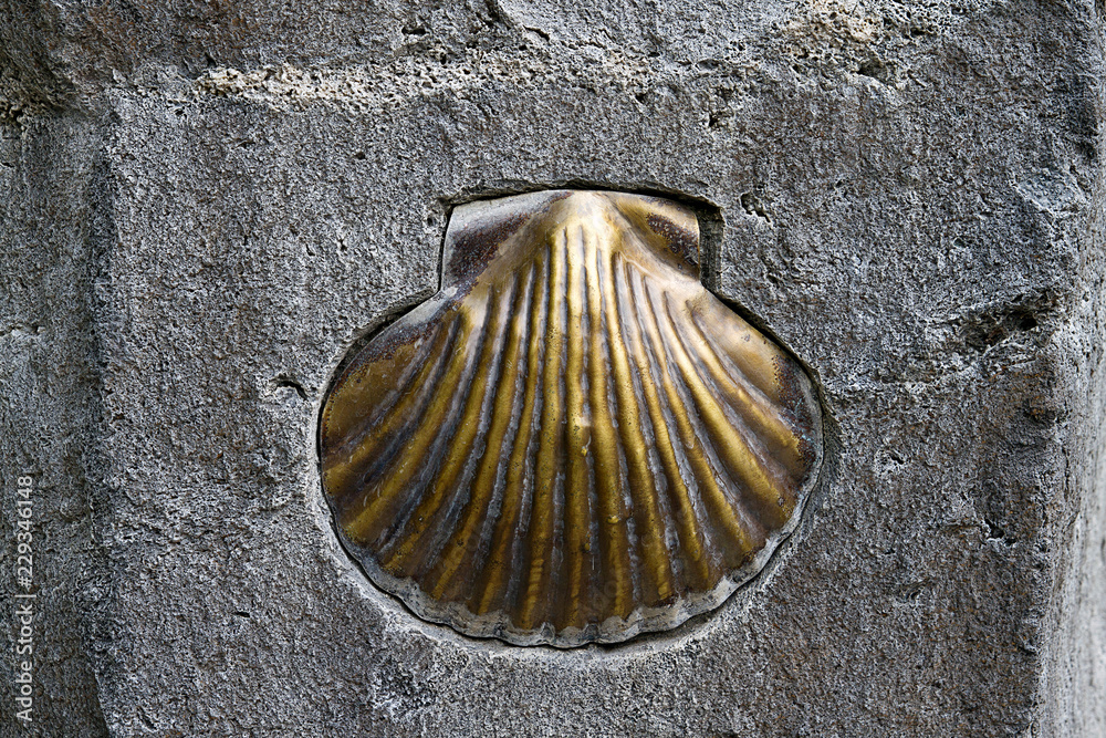 Jakobsmuschel als Erkennungszeichen für Pilger nach Santiago de ...