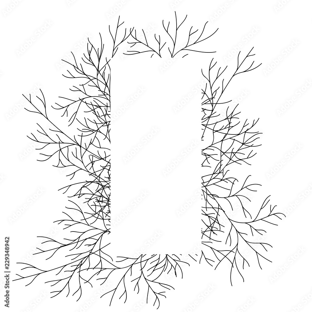 Flower rectangular frame. Frame with flowers, plants, grass, fern ...