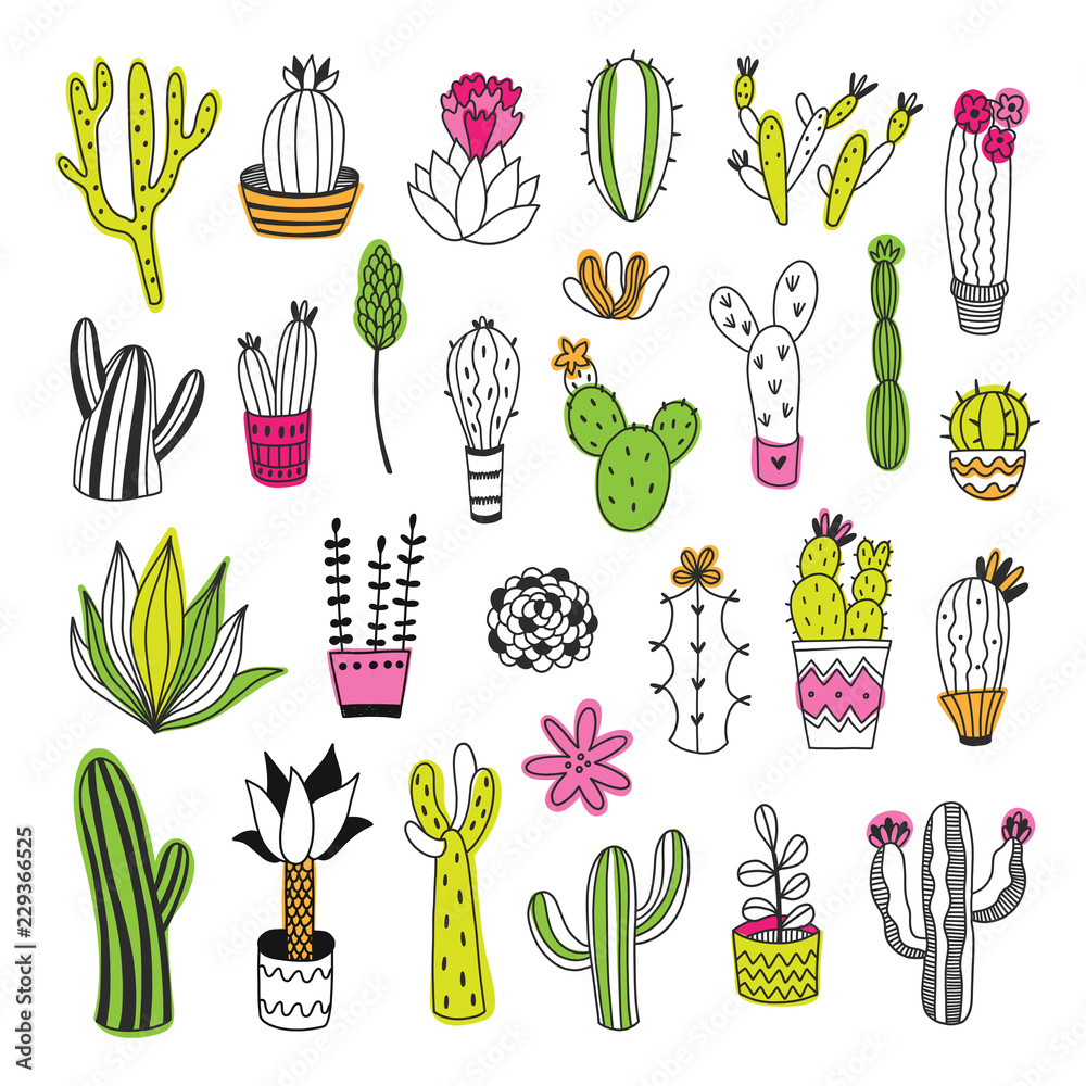 Cactus and succulent illustrations. Cute plants in pots for home ...