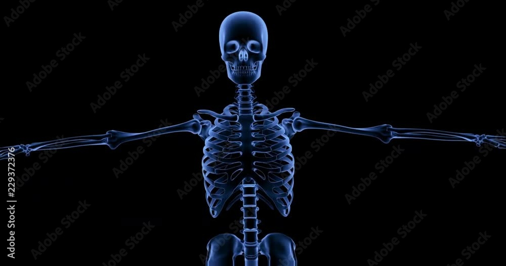 An animated x-ray of a human skeleton dancing and rotating 360 degrees ...