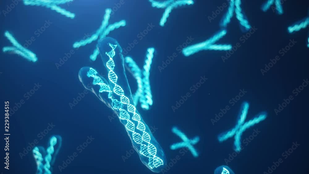 X and Y Chromosome on blue background. Chromosomes with DNA helix ...