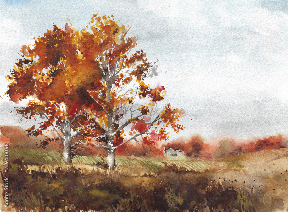 Fall Watercolor Paintings