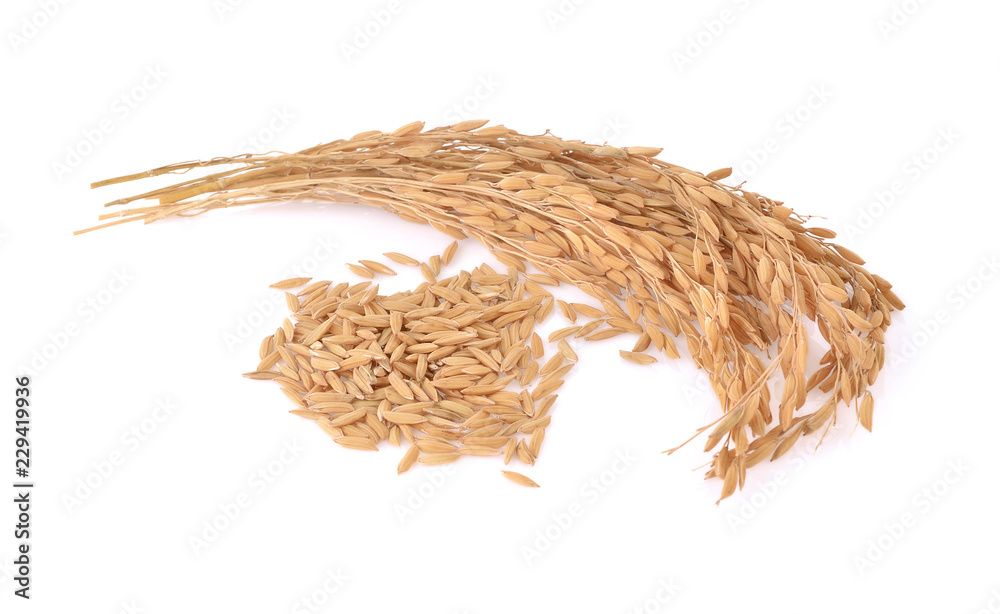 rice grains Stock Photo | Adobe Stock