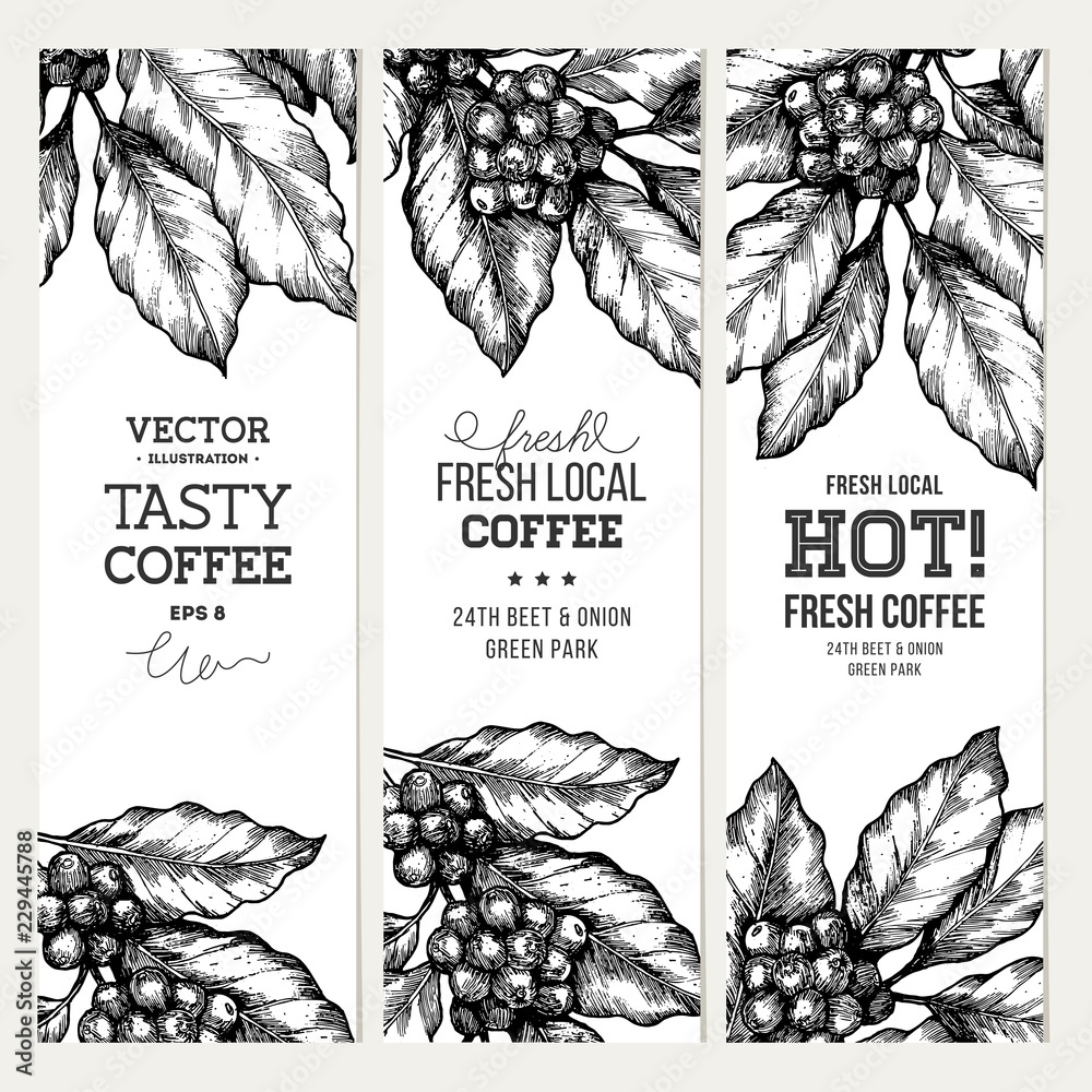 Coffee Tree Illustration