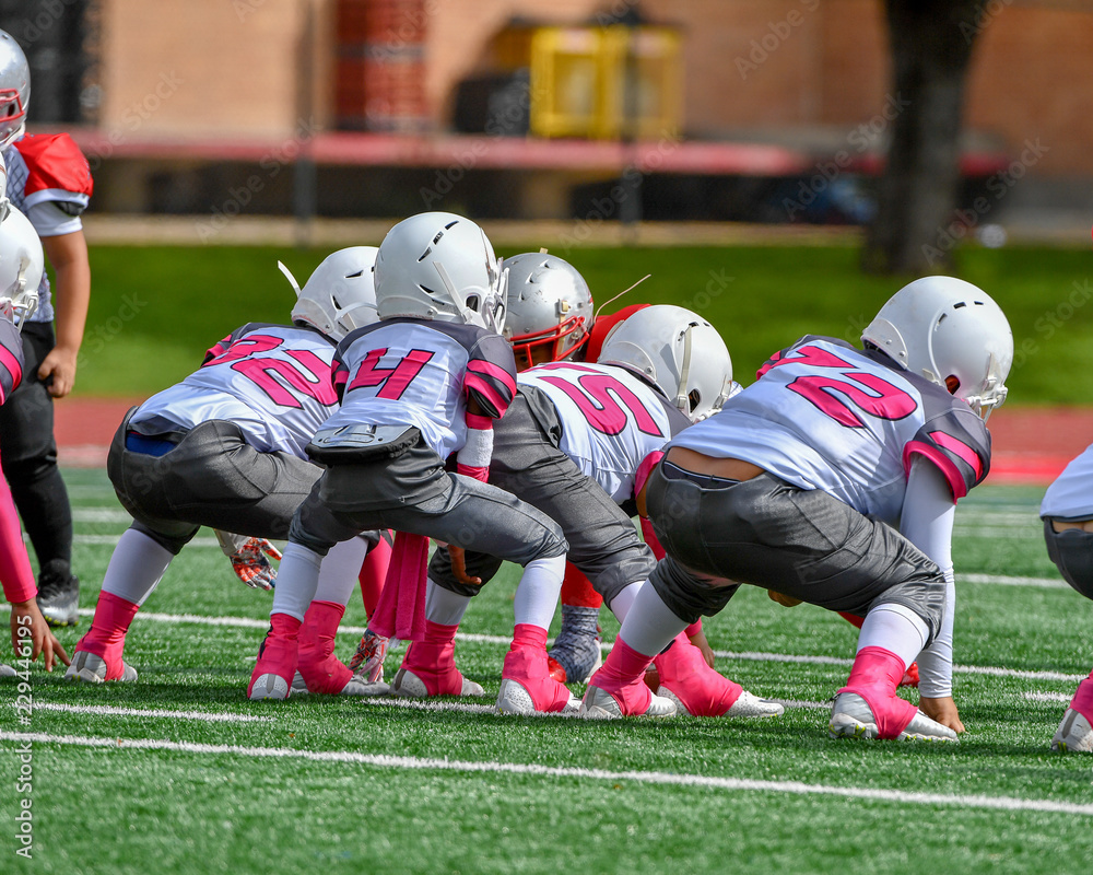 Little boys and girls playing youth tackle football Stock 写真 | Adobe Stock