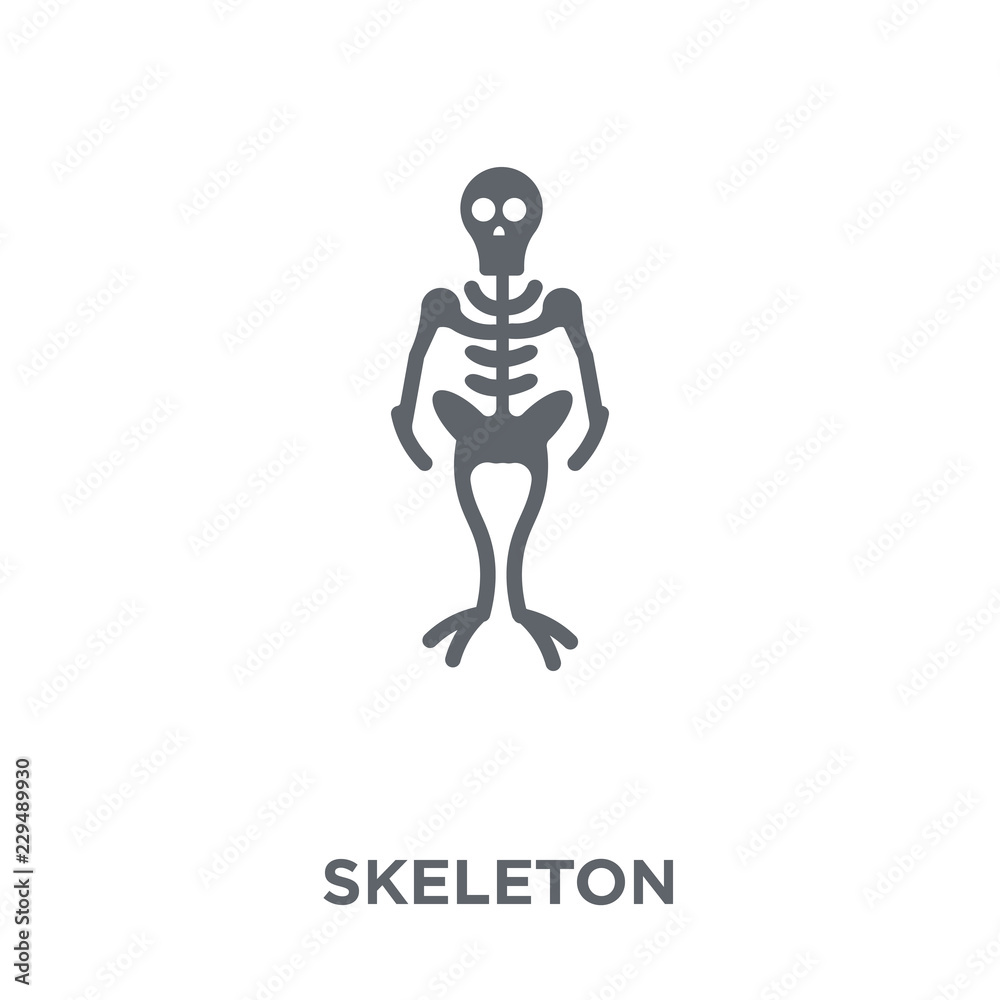Skeleton icon from collection. Stock Vector | Adobe Stock