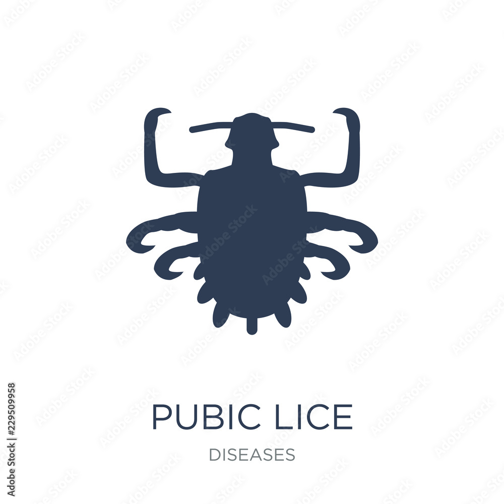 Pubic lice icon. Trendy flat vector Pubic lice icon on white background ...