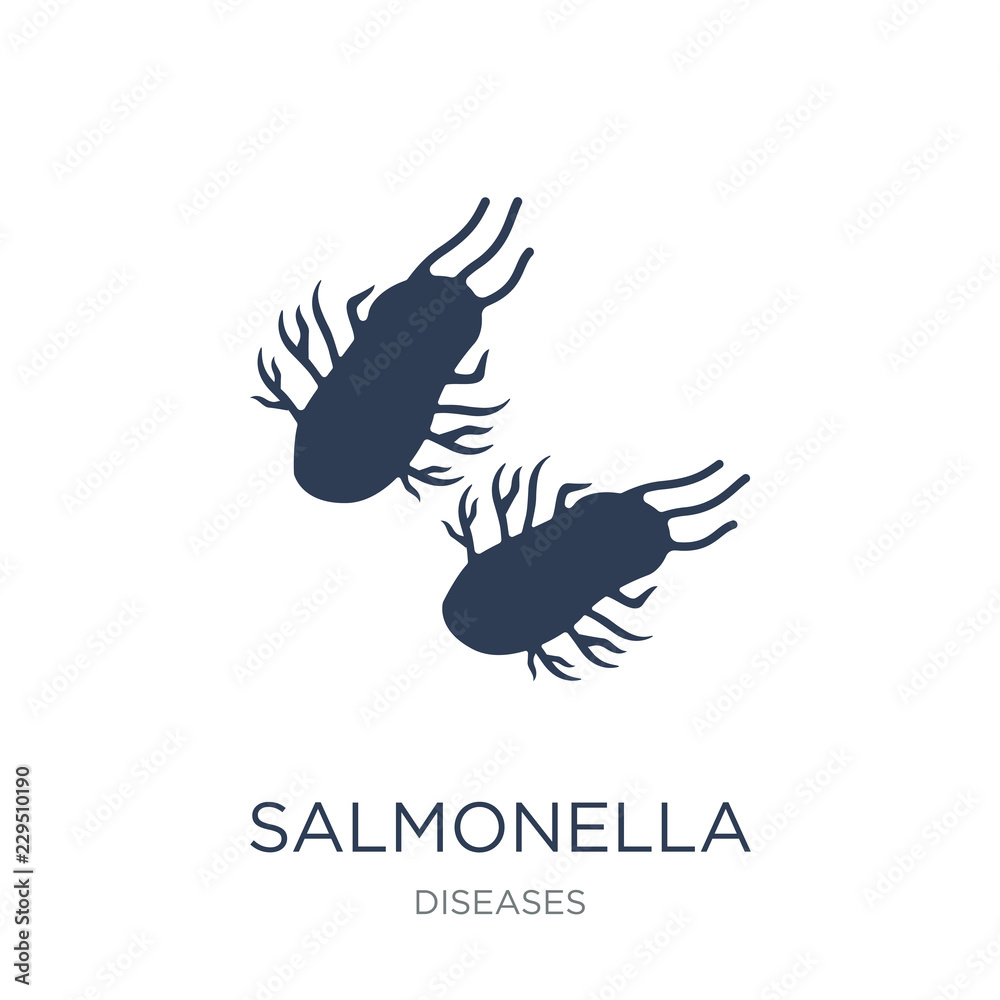 Salmonella icon. Trendy flat vector Salmonella icon on white background ...