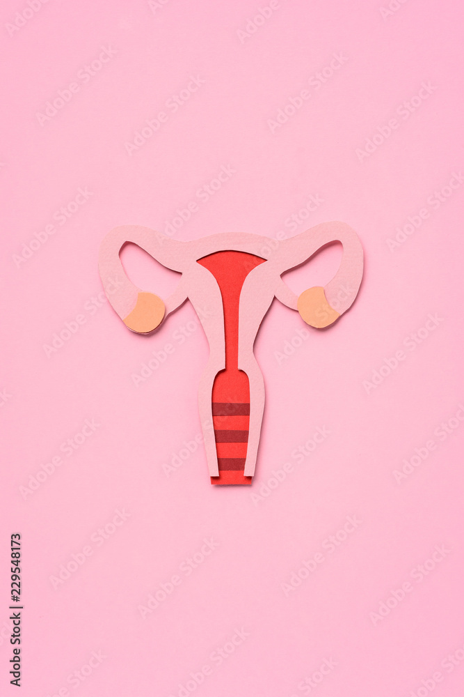 elevated view of female reproductive system on pink Stock Photo | Adobe ...