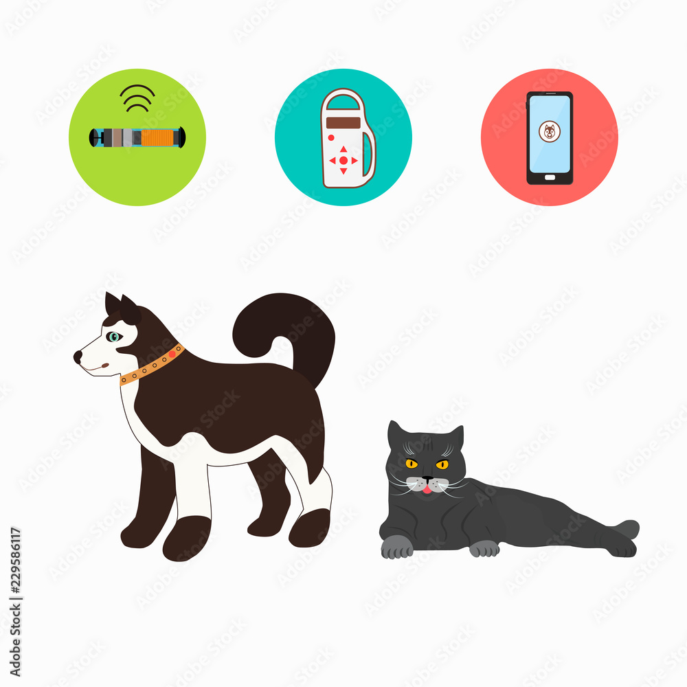 Pet services - set of vector icons, pictograms. Vector cartoon ...