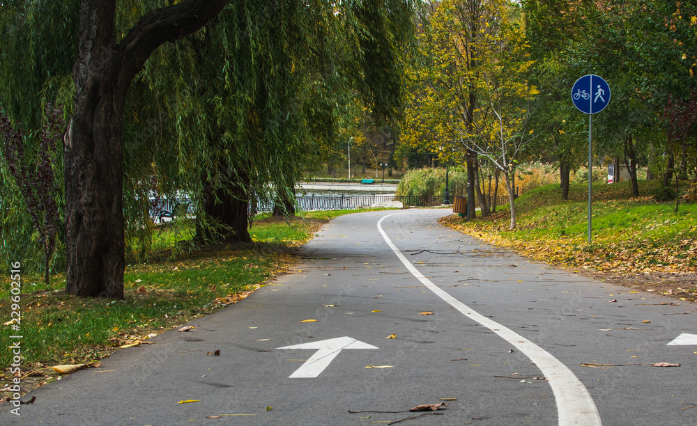blue round road sign - separation of pedestrian and bicycle paths ...