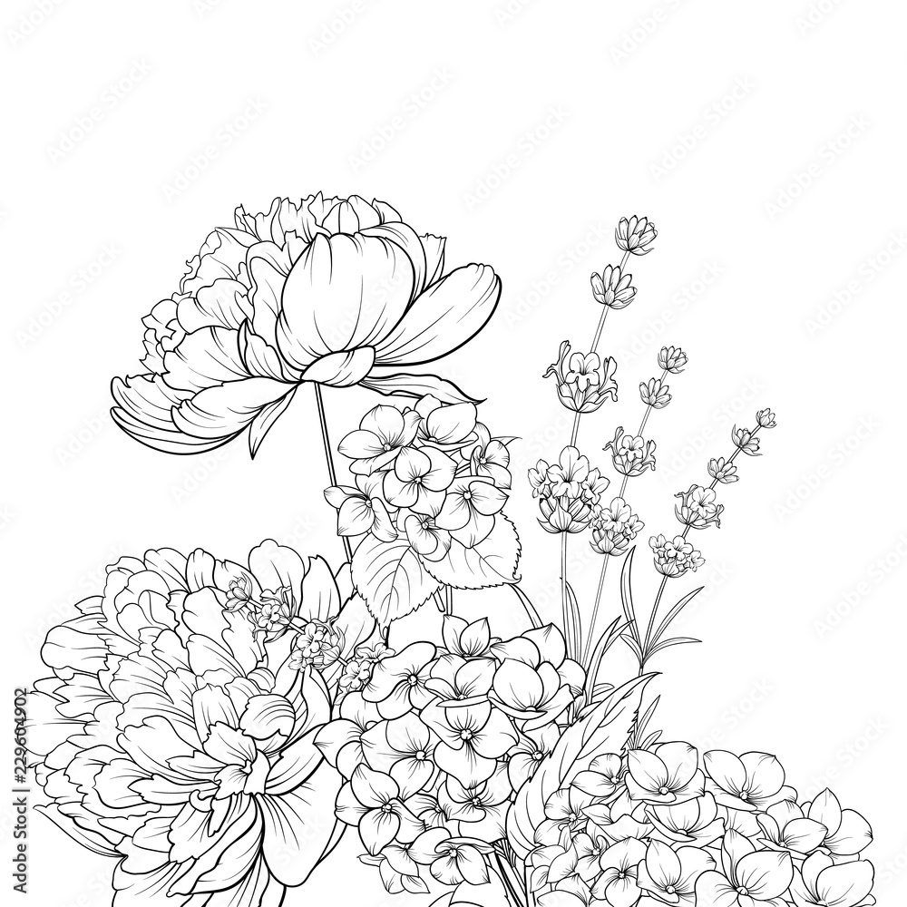 Floral garland of lavender and hydrangea isolated over white background ...