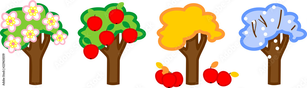Four seasons apple tree isolated on white background. Life cycle of ...