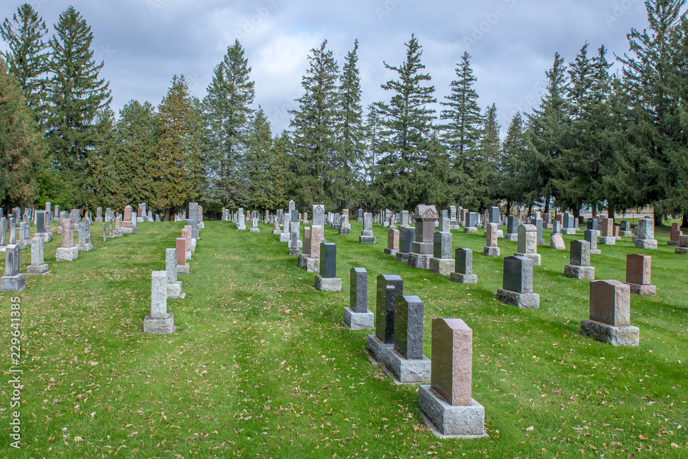 A beautiful graveyard marked with rows of headstones and lined with ...