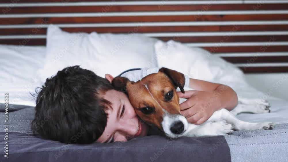 Resort vacation at the hotel. Happy boy playing with his dog, Jack ...