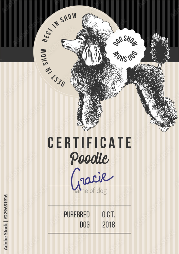 Dog show certificate with poodle Stock Vector | Adobe Stock