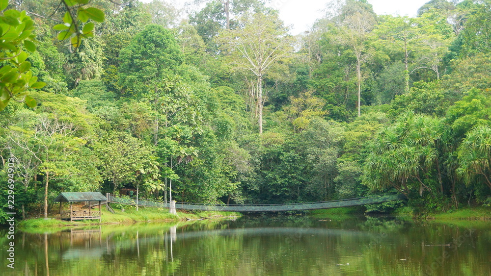 The Rainforest Discovery Centre (RDC) is the gateway to getting to know ...