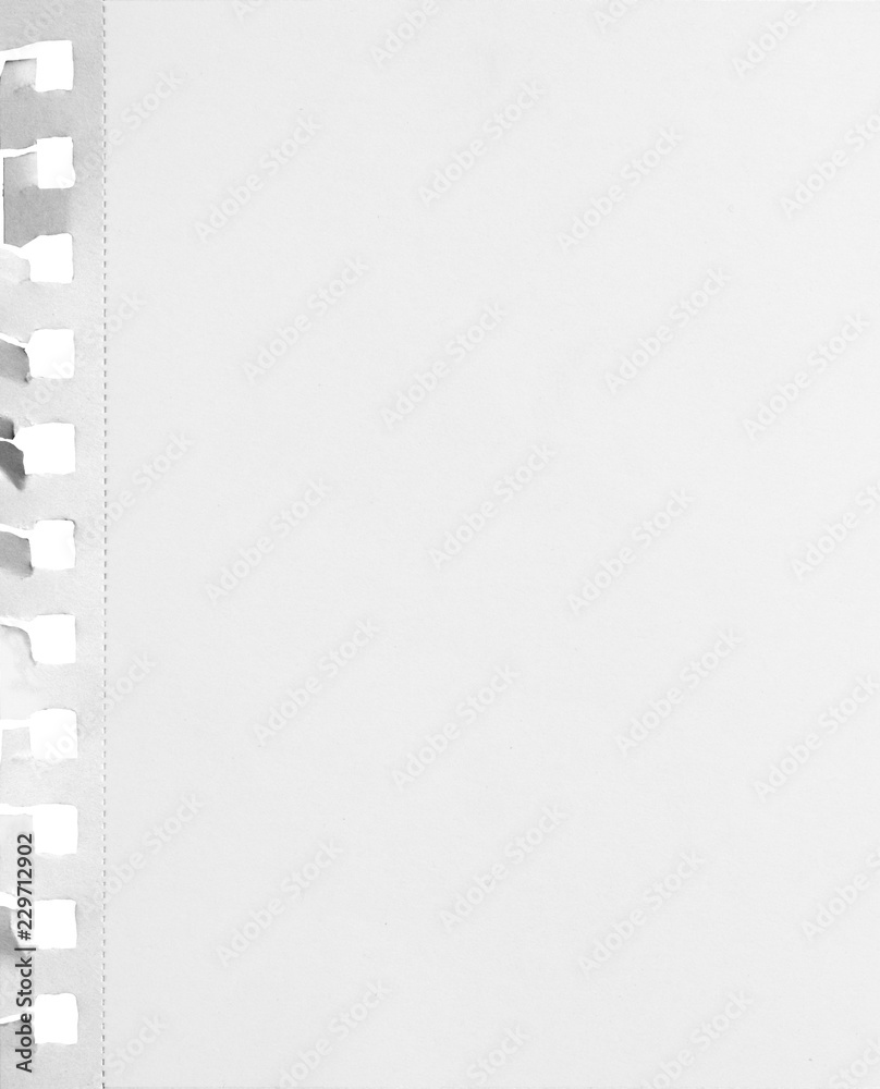 Blank perforated notebook paper sheet with ripped holes and shadow ...