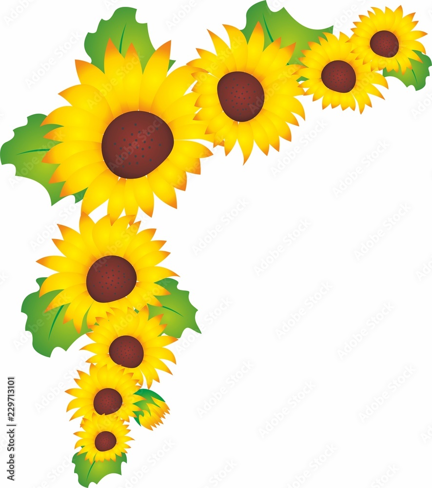 Sunflower design template. Sunflower frame corner composition. Stock ...