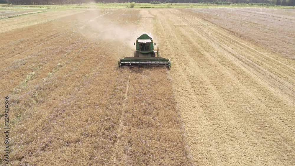 Autumn field and harvesting process top view. Two harvester-combine ...