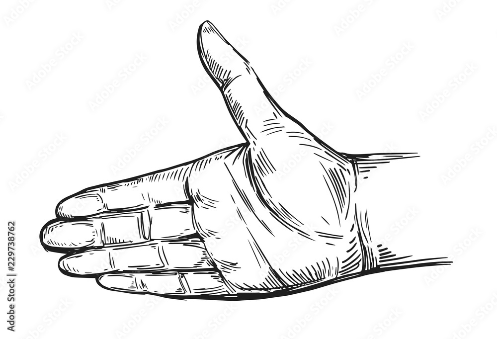 Sketch of hand. Vector illustration Stock Vector | Adobe Stock