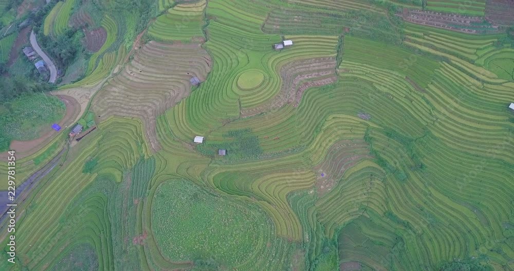 Aerial view of Vietnam landscapes. Rice fields on terraced of Mu Cang ...