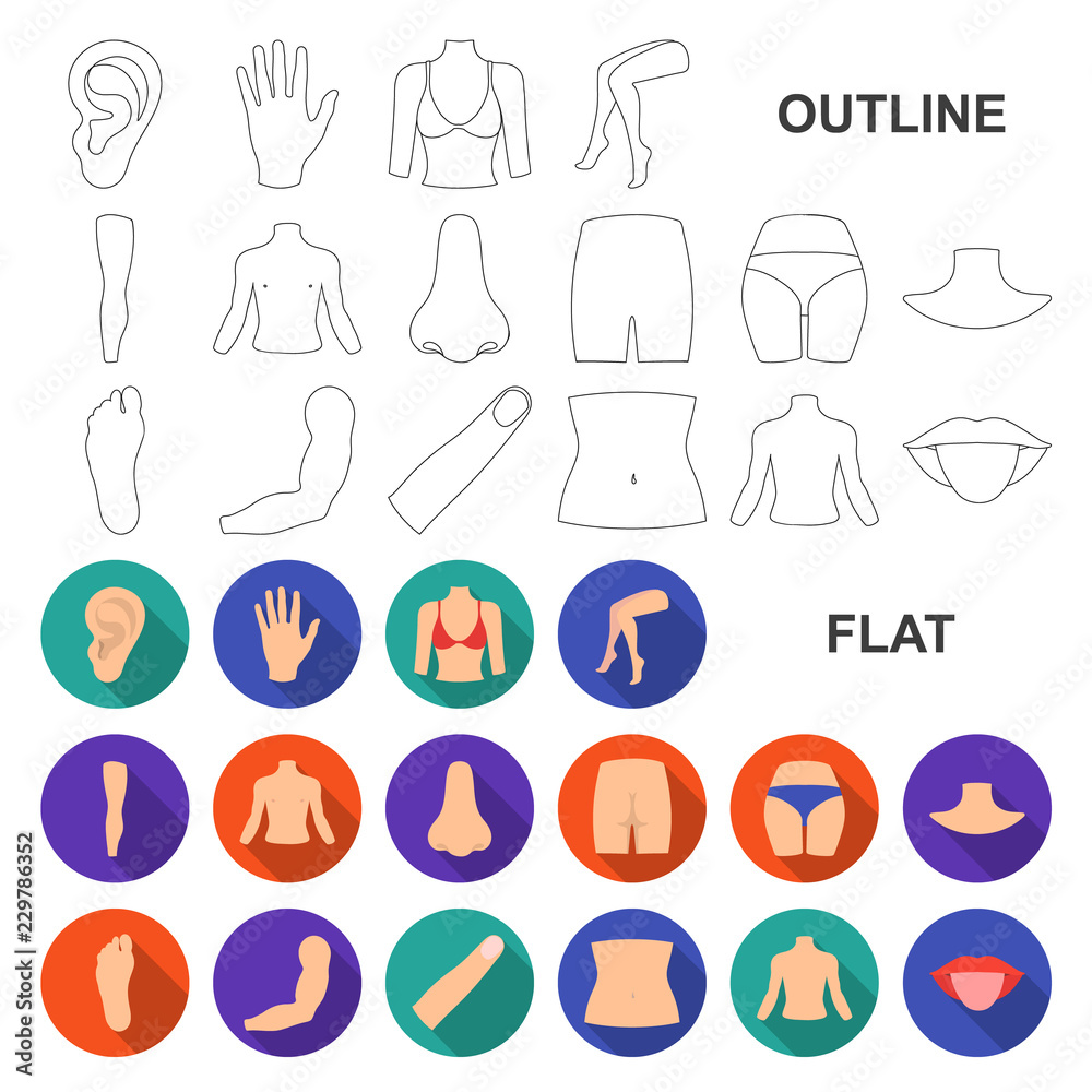Part of the body, limb flat icons in set collection for design. Human ...