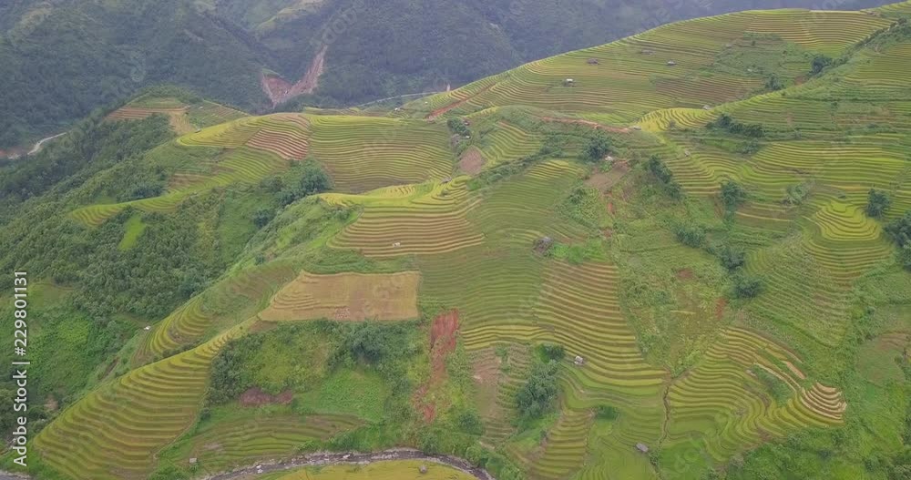 Top view of Vietnam landscapes with terraces rice field. Rice fields on ...