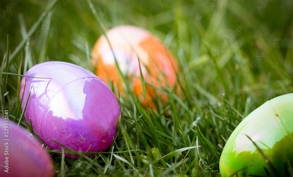 Plastic Easter Eggs In Grass