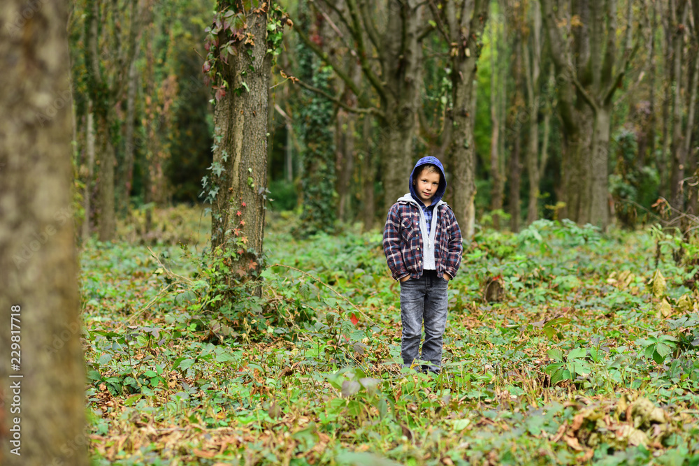 Feel the nature. Little boy play in forest. Little child have forest ...