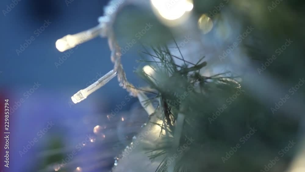 Close-up of Christmas lights flashing on and off in the branches of a ...