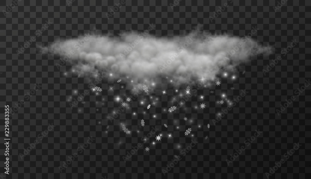 Cloud with falling snow isolated on transparent background. Vector ...