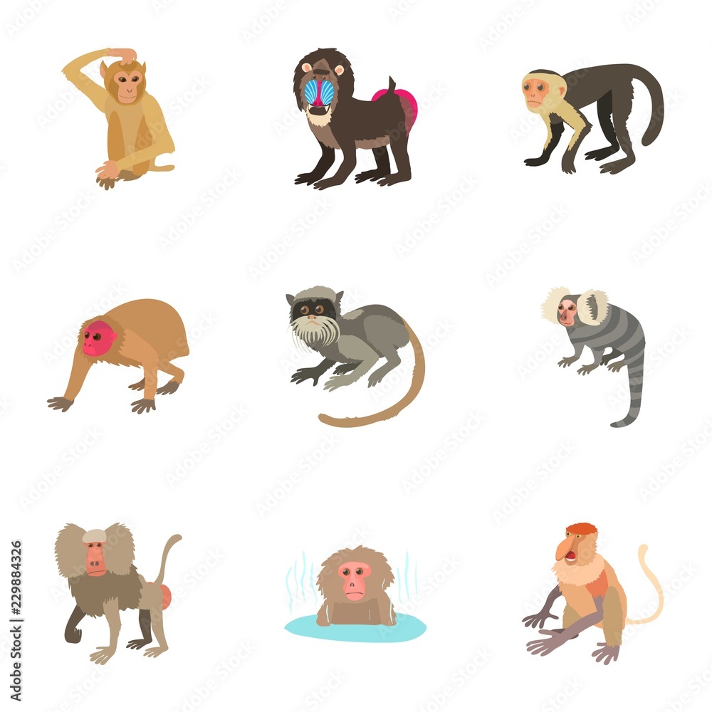 Jacko icons set. Cartoon set of 9 jacko vector icons for web isolated ...