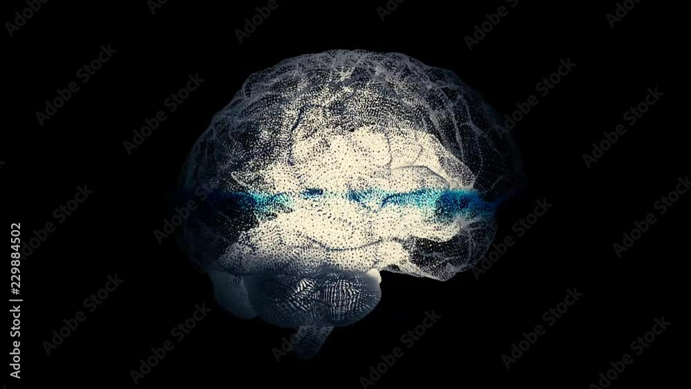 3d render xray style image of human brain rotating. Human brain being ...