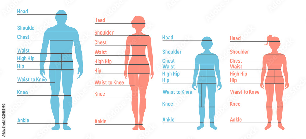 Man, woman, boy and girl Size Chart. Human front side Silhouette ...