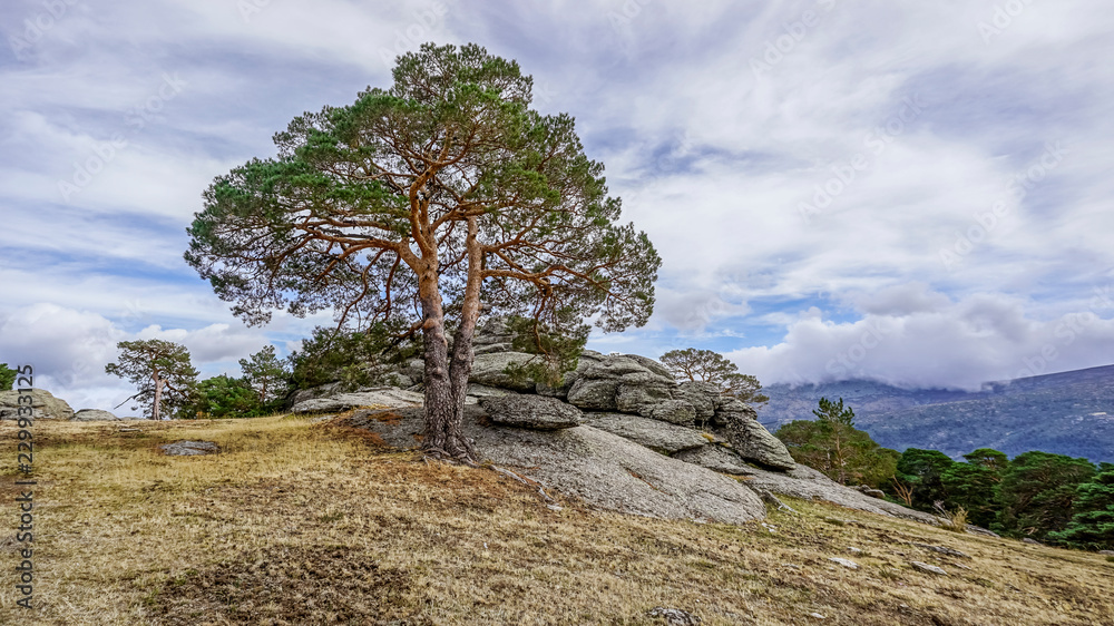 Iberian Peninsula Landscape