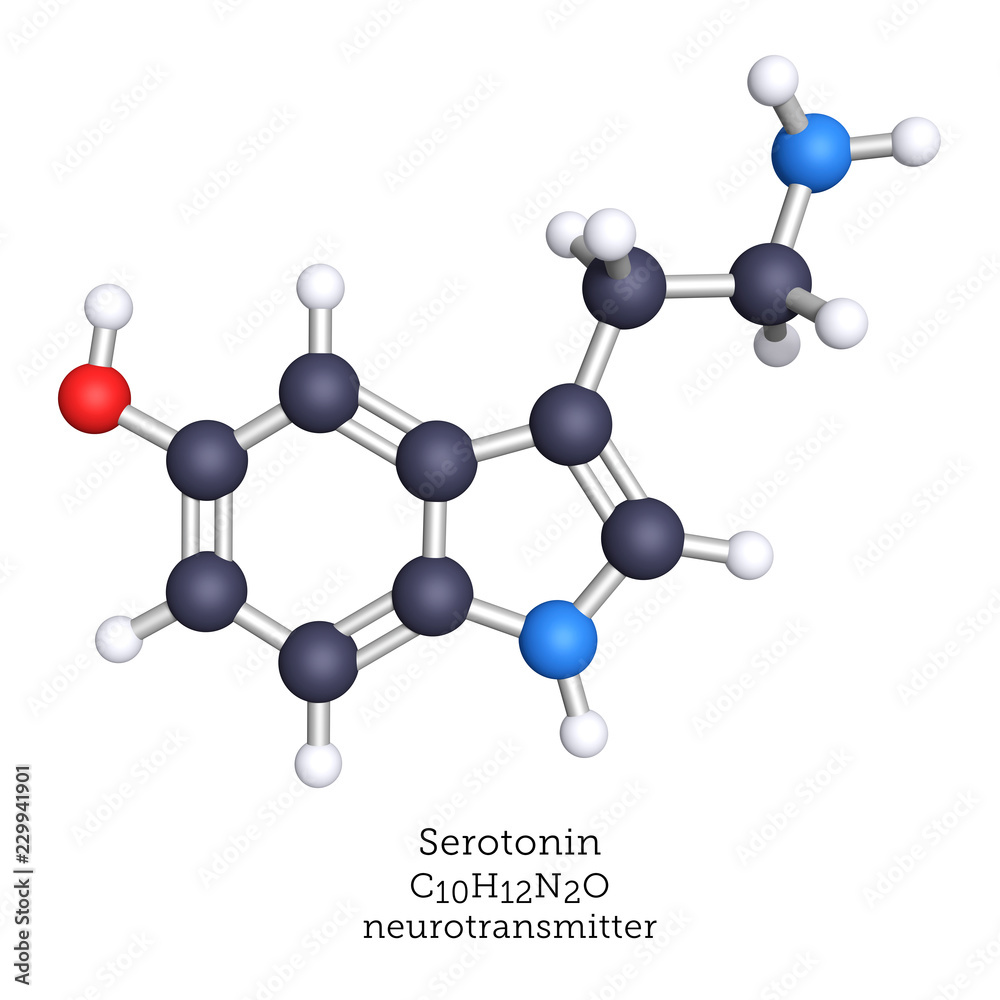 Serotonin neurotransmitter shown as a molecular model Stock ...