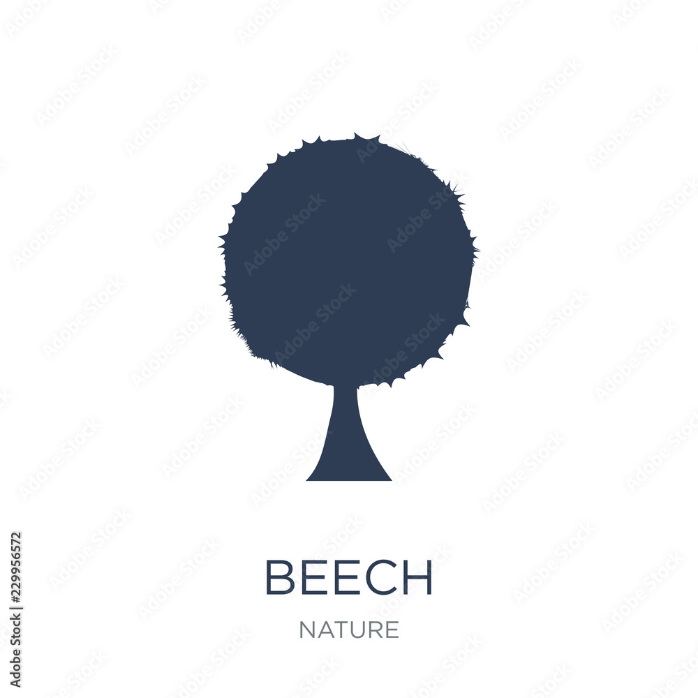Beech Symbol