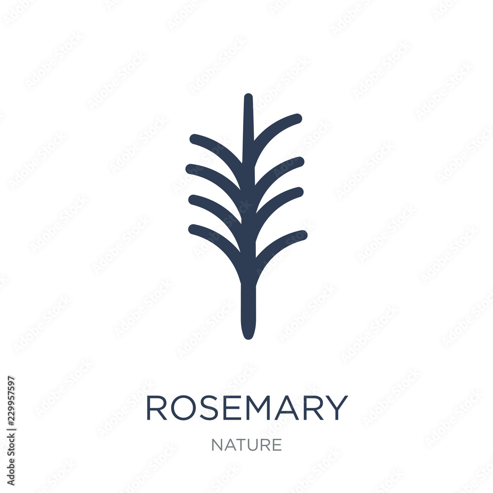 Rosemary icon. Trendy flat vector Rosemary icon on white background ...
