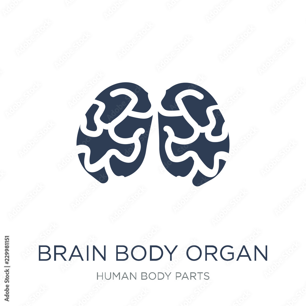 Brain body organ icon. Trendy flat vector Brain body organ icon on ...
