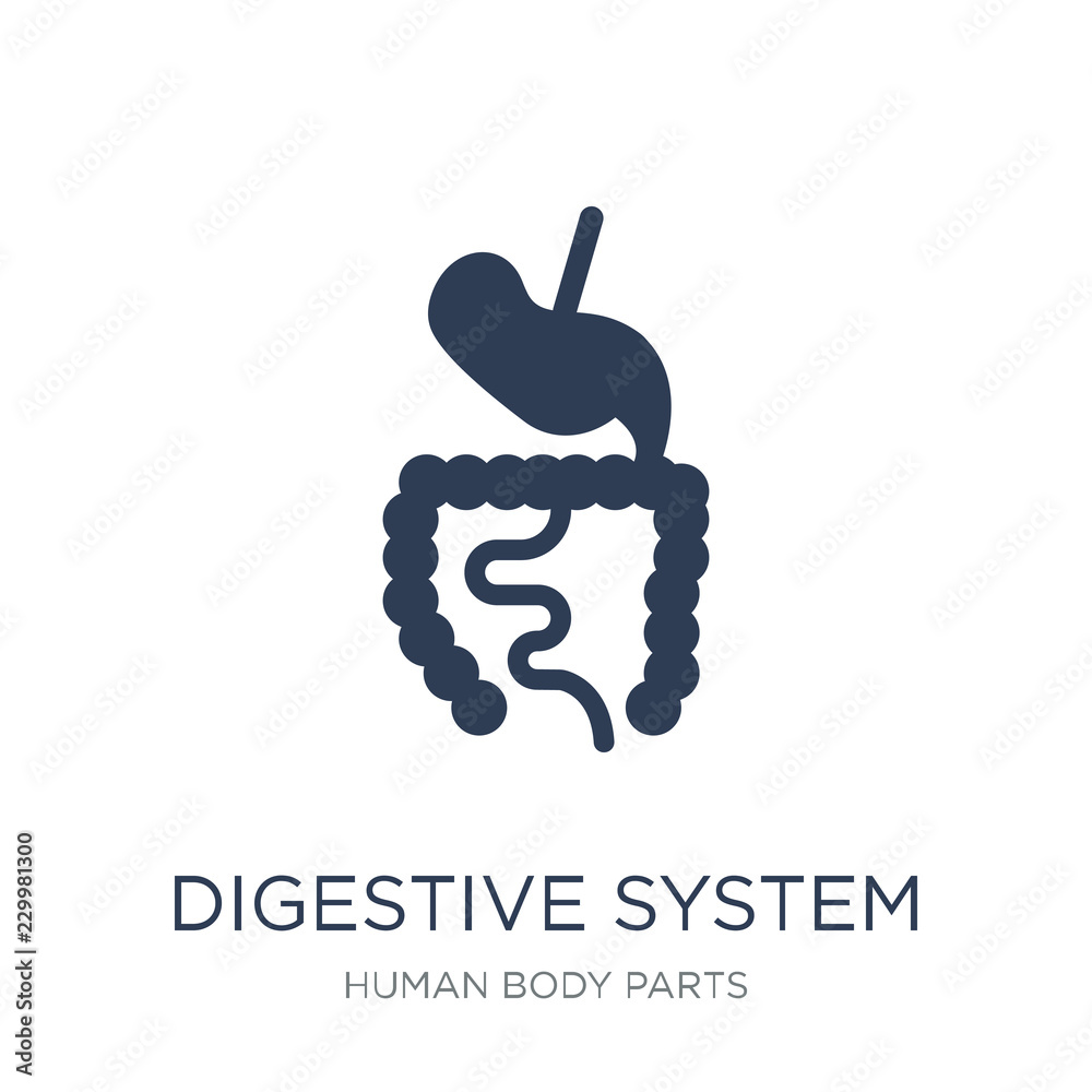 Digestive System icon. Trendy flat vector Digestive System icon on ...