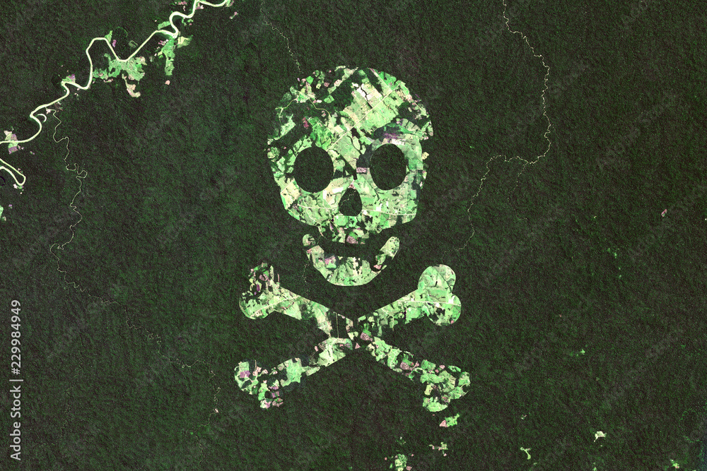 Shape of a skull in the rainforest of Brazil - contains modified ...