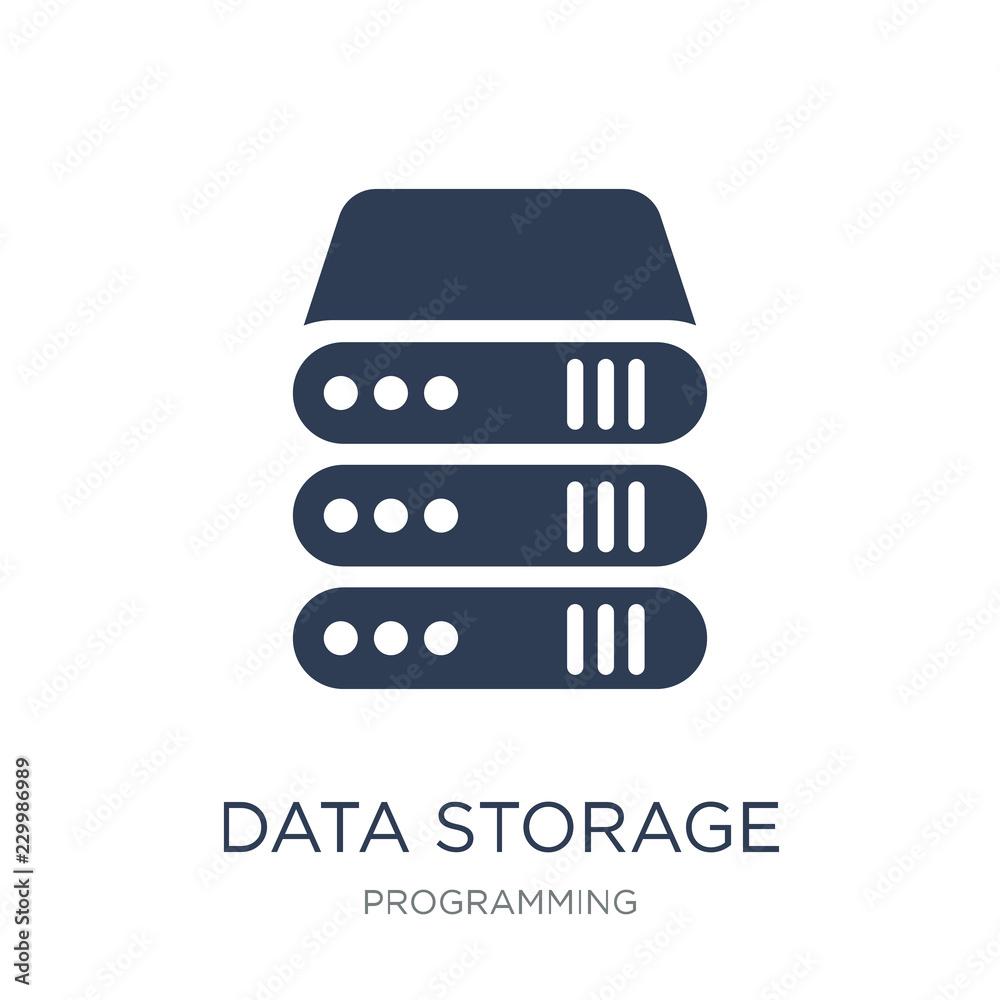 Data Storage Icon